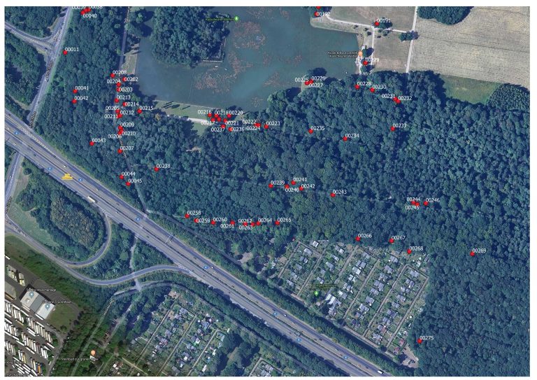 Baumkataster - ARB-IT Baumkataster Datenbank Baumkontrollen